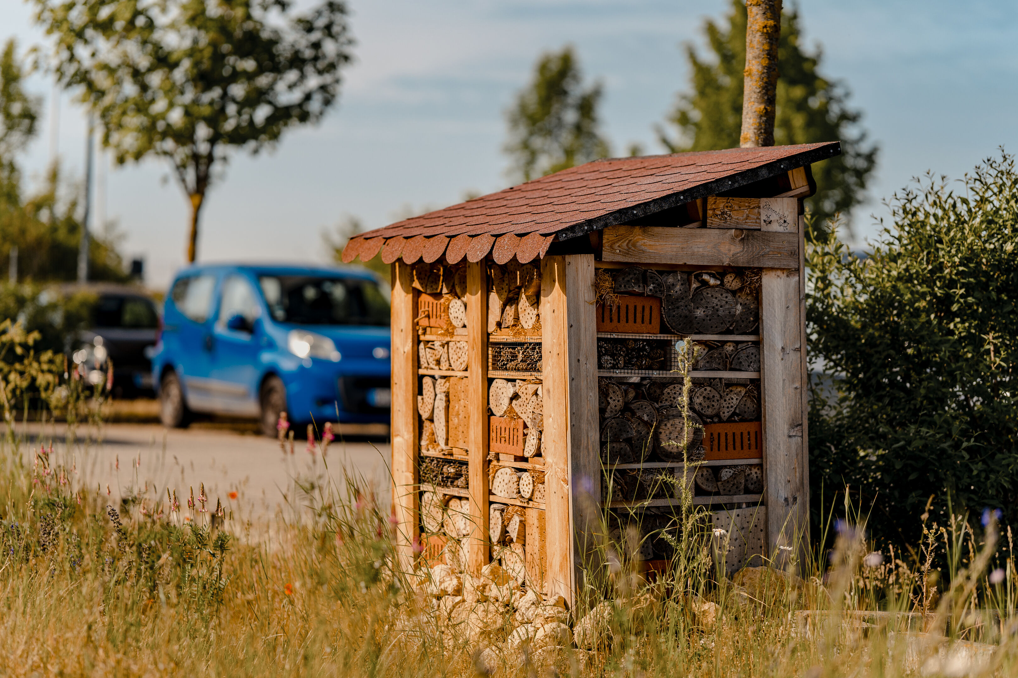 Sustainability at ROWE | ROWE