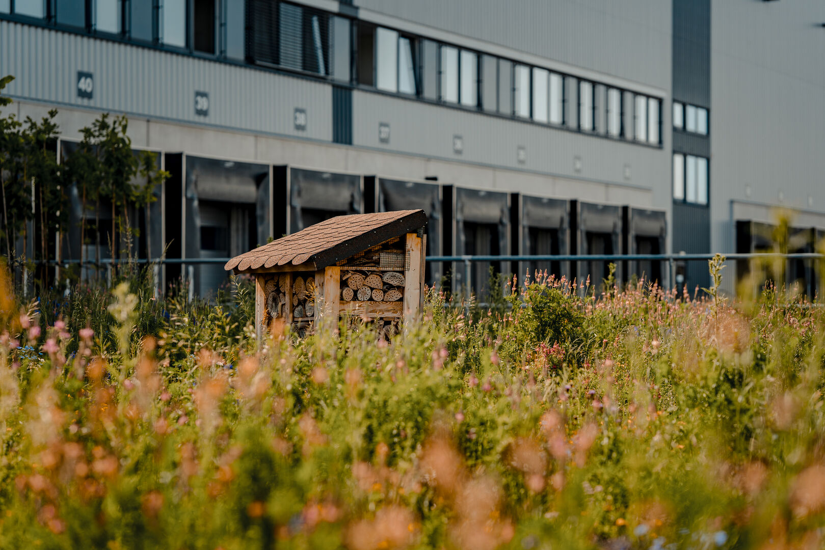 Sustainability at ROWE | ROWE